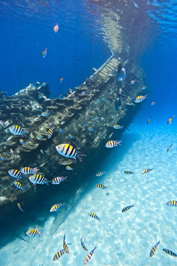 Explore WOW Atoll - Arena Beach Maldives I Official Website