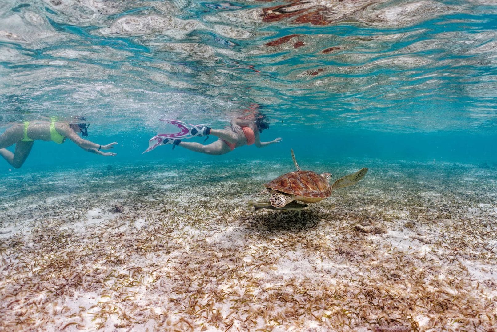 Half Day Adventure - Arena Beach Maldives I Official Website